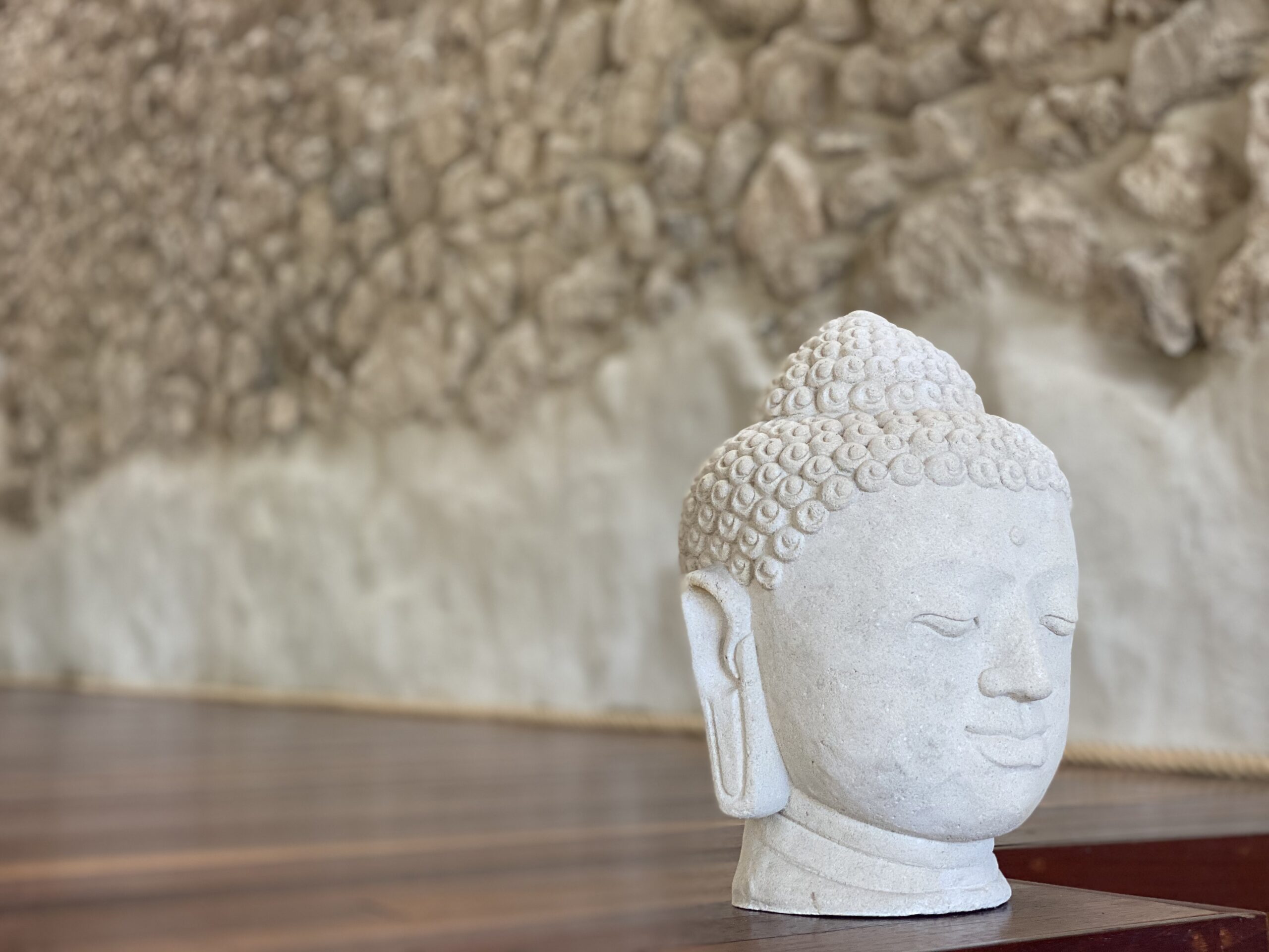 A True Path of Yoga - Shanti Atma Yoga : Yin Yoga Teacher Training School